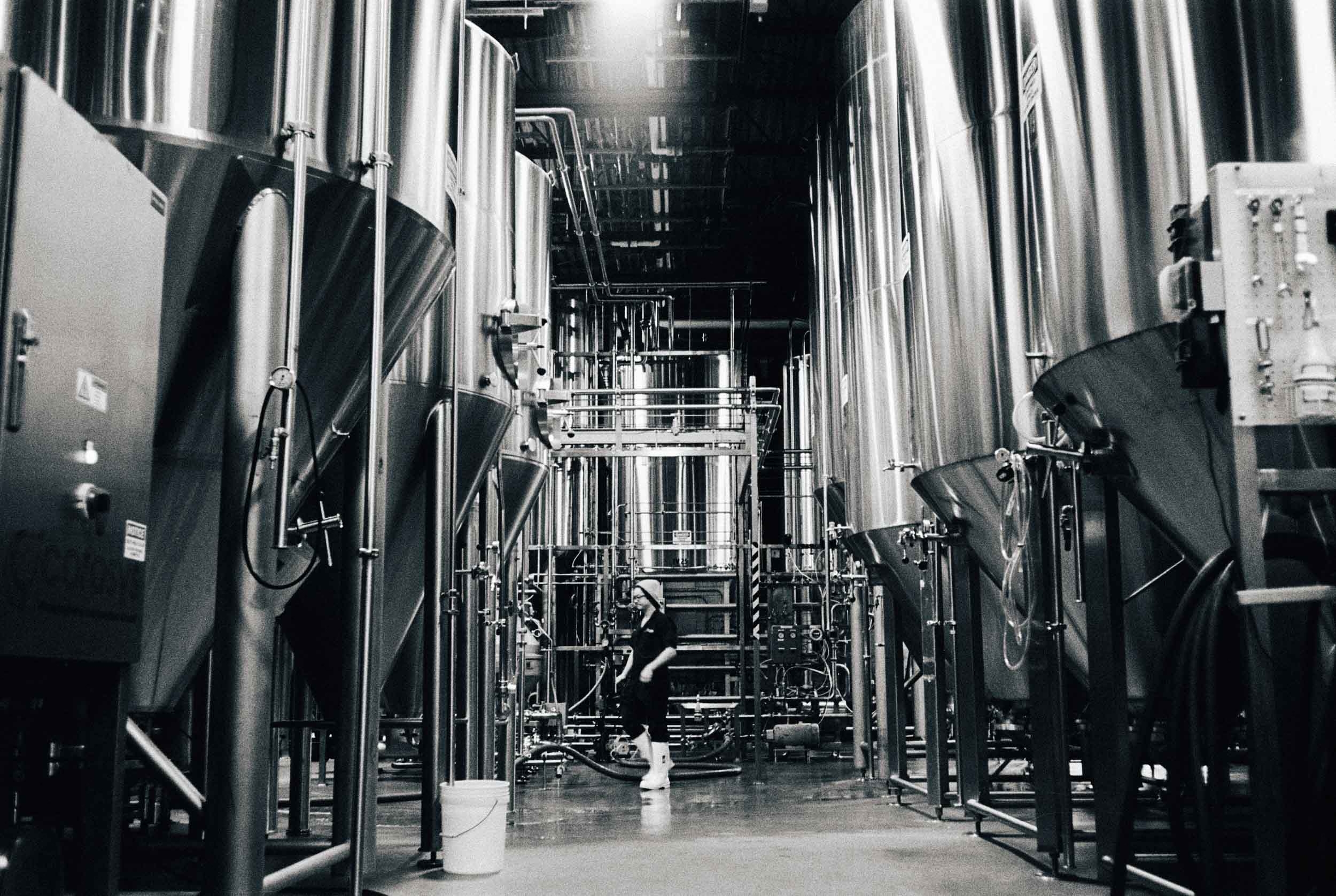 OSNOVE: Fermentacija - CraftUnity.si